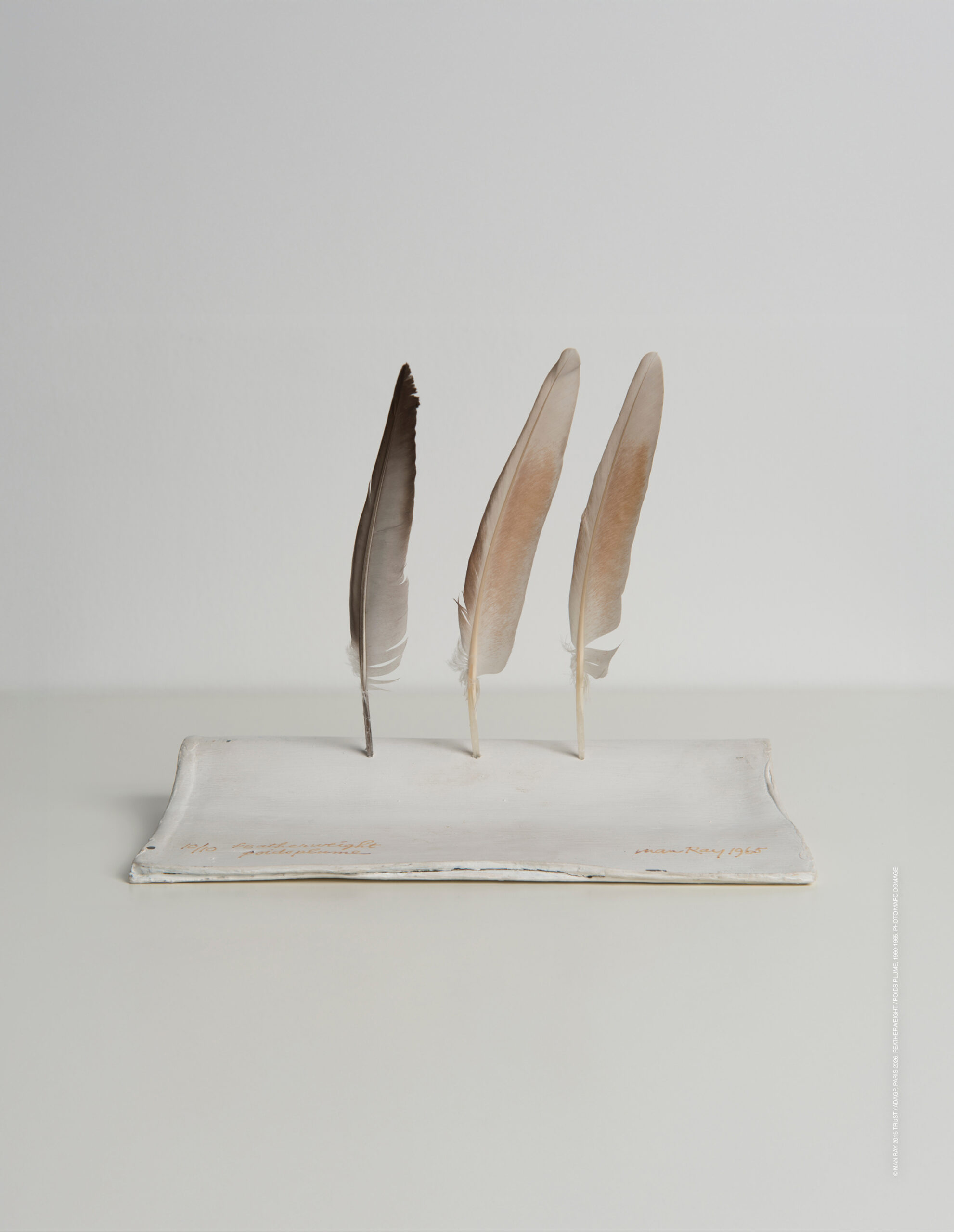 Saint Laurent Rive Right x Man Ray: an exclusive collaboration | Avenue ...